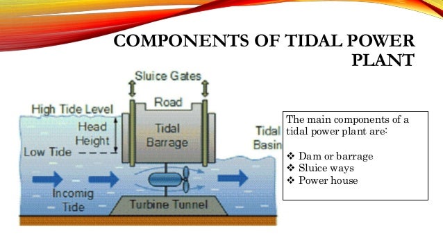 Tidal Power Plant Diagram