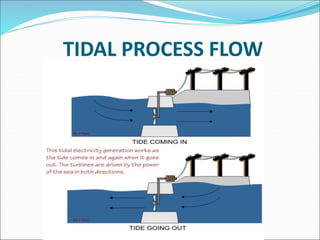 Tidal energy | PPT