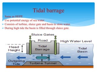 Tidal energy, Wave Energy, Biofuel.pdf