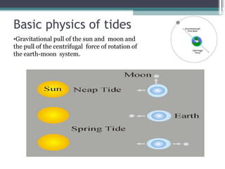 Tidal power generating method ppt | PPTX | Power and Energy Industry ...