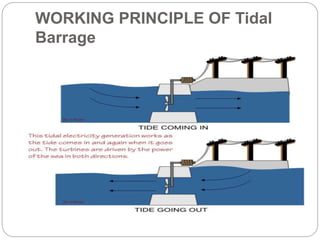 Tidal power Plant | PPTX