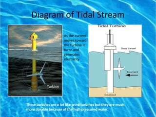 Tidal Wave | PPTX