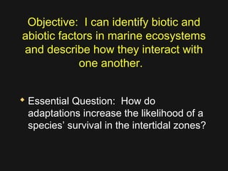 Tidal zones notes ppt | PPT