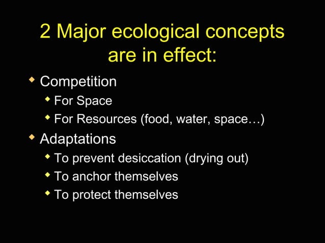 Tidal zones notes ppt | PPT