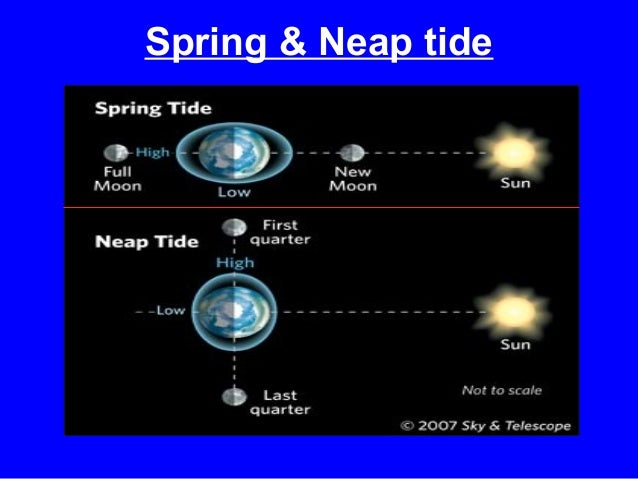 Chart Of Spring And Neap Tides