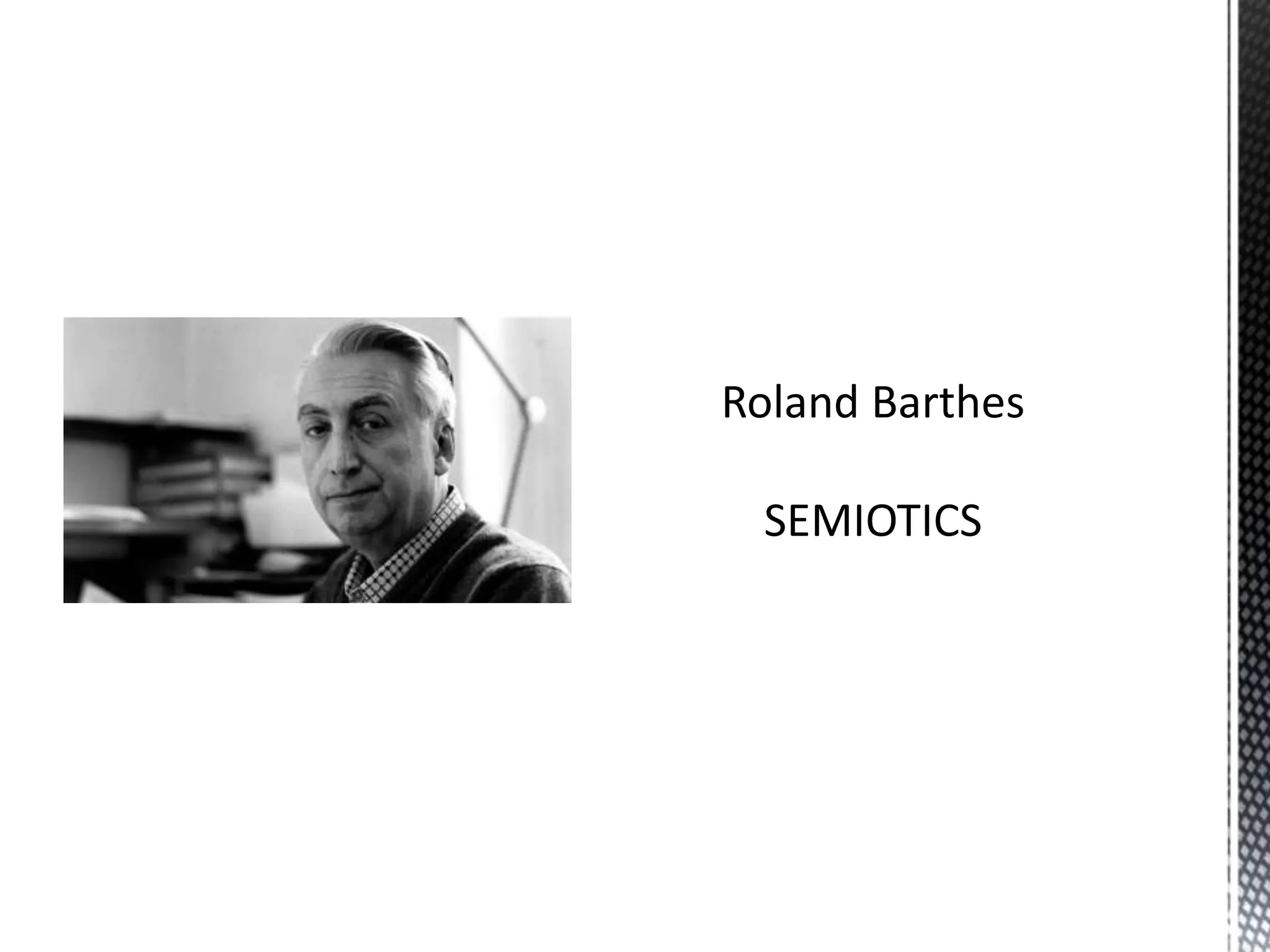 Tide media language and barthes | PPTX