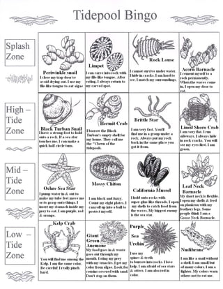 Tidepool guide to help identify flora and fauna | PDF