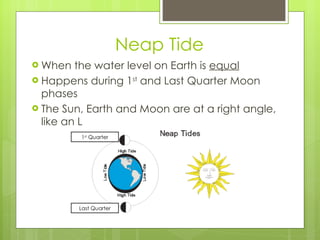 Tides | PPT