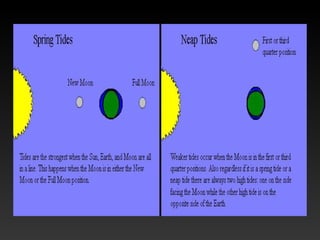 Tides | PPT