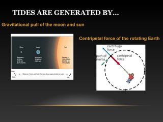 Tides | PPT