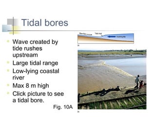 Tides | PPT