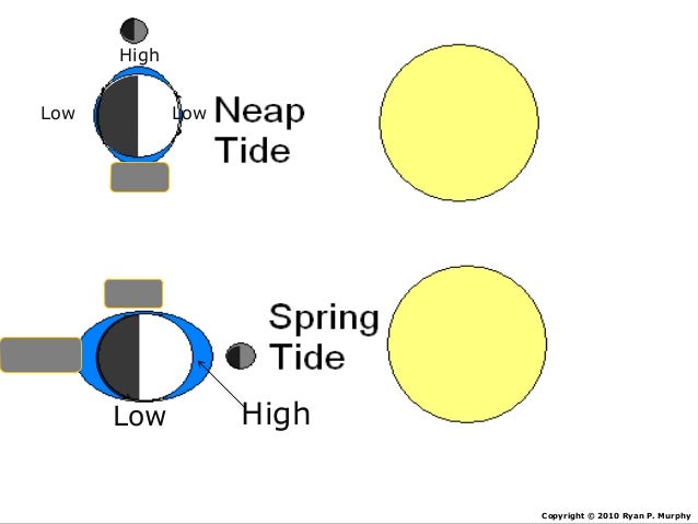 Tides, Neap Tide, Spring Tide, Astronomy Lesson PowerPoint