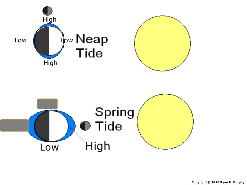 Tides, Neap Tide, Spring Tide, Astronomy Lesson PowerPoint