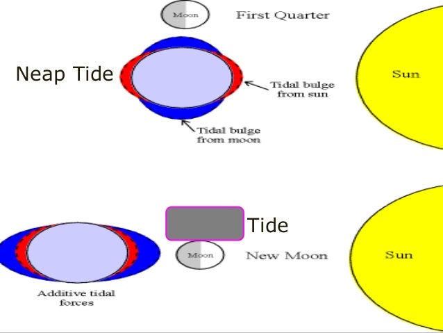 Tides, Neap Tide, Spring Tide, Astronomy Lesson PowerPoint