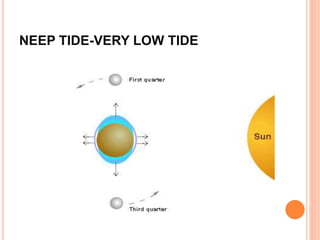 Tides | PPTX
