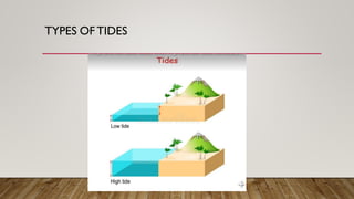 Tides | PPT