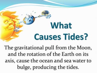 tides.pptx