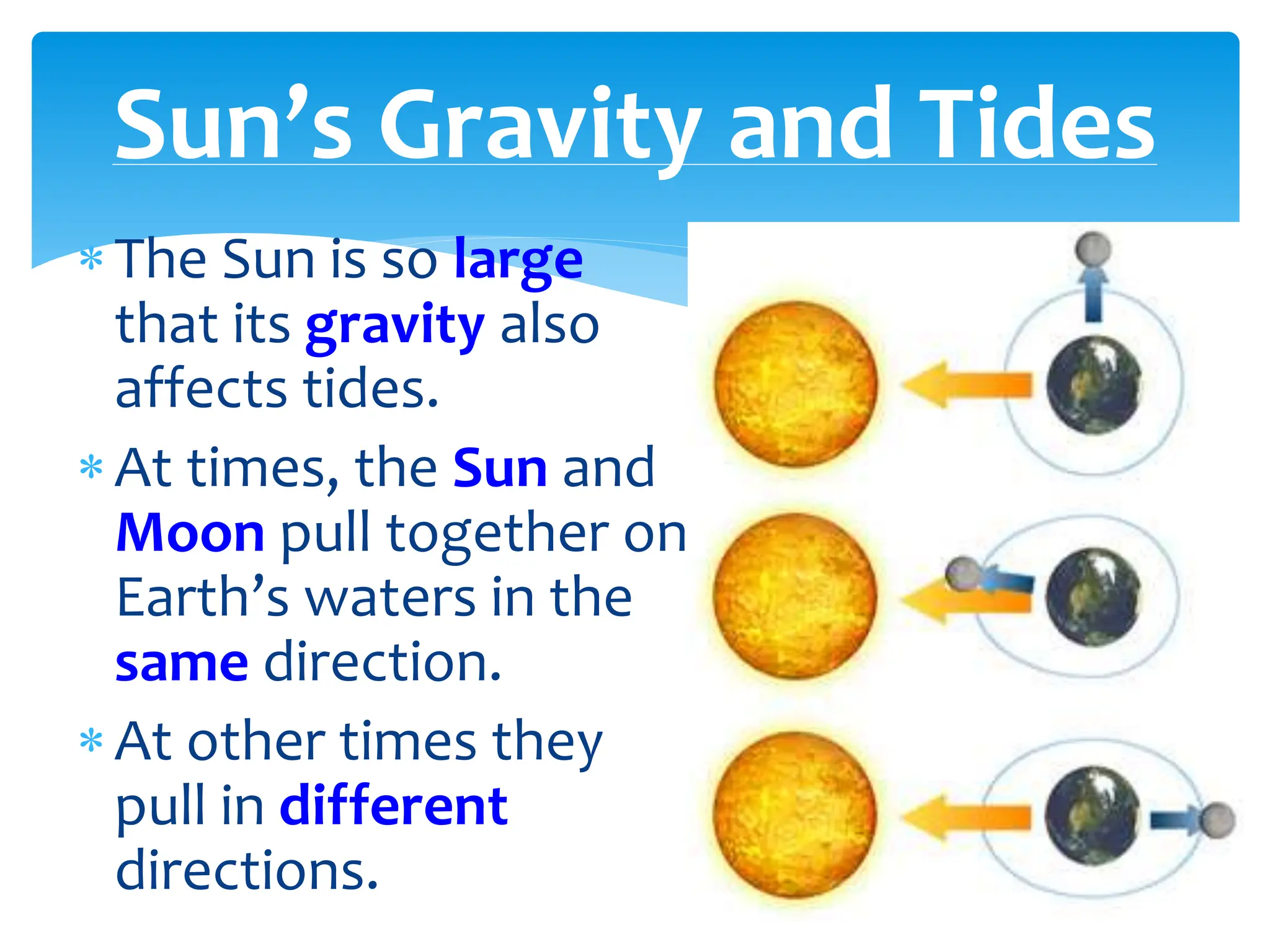 The Definition of High Tide and Low Tide | PPTX