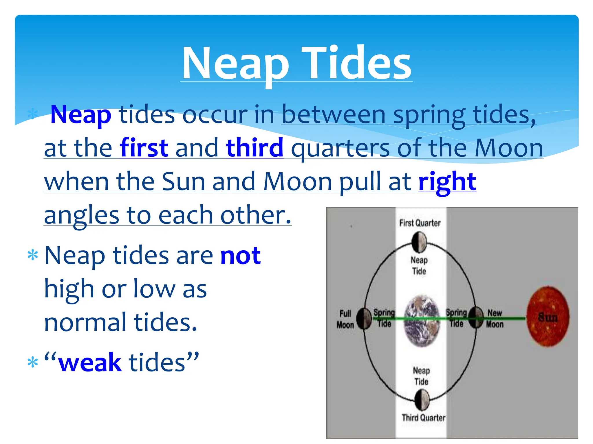 The Definition of High Tide and Low Tide | PPTX