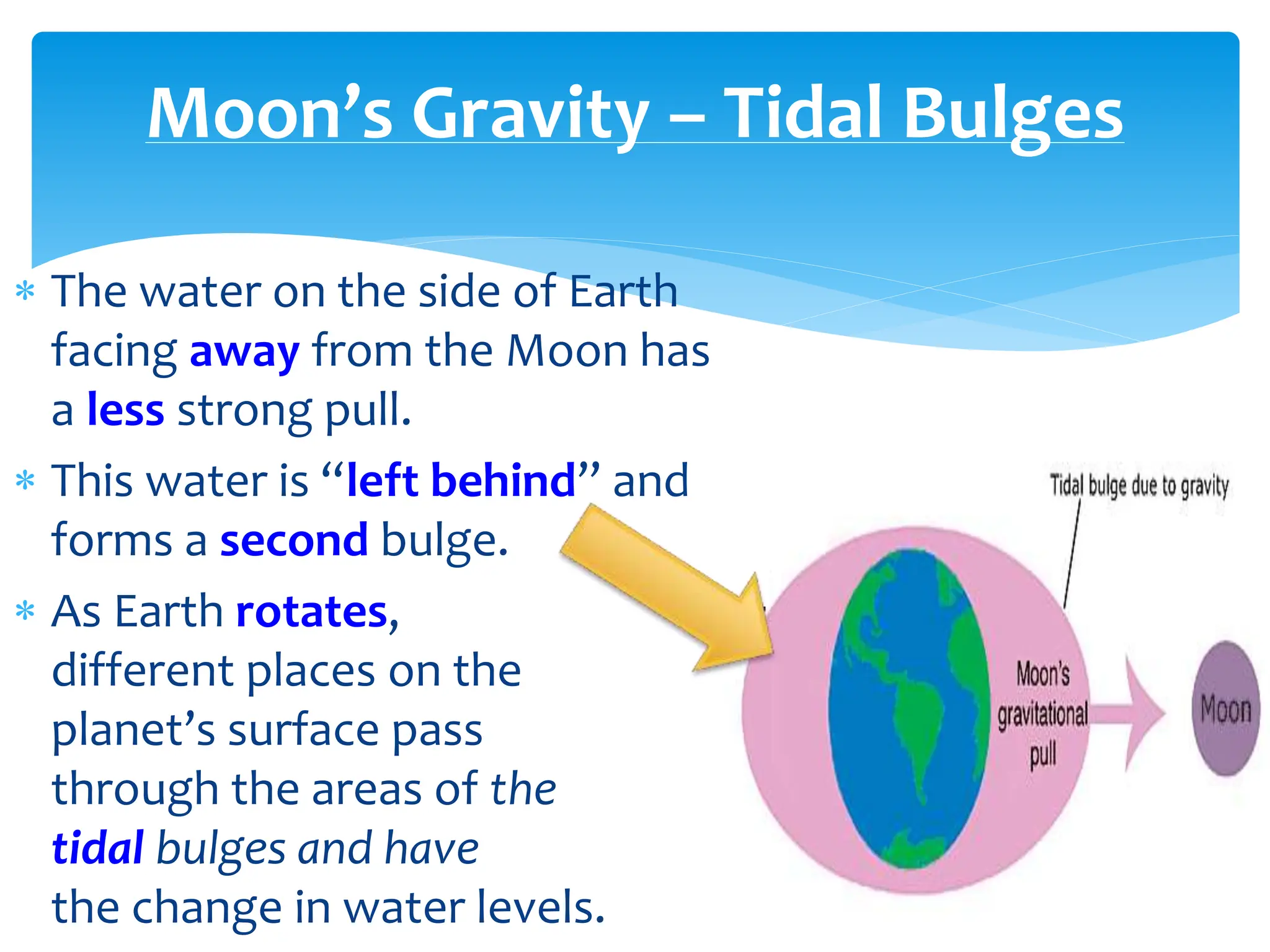 The Definition of High Tide and Low Tide | PPTX