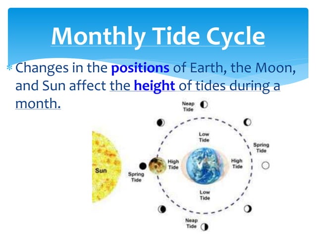 The Definition of High Tide and Low Tide | PPTX | Geography | Science