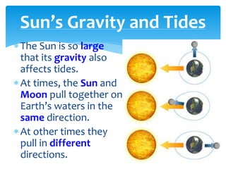The Definition of High Tide and Low Tide | PPTX