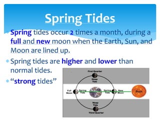 The Definition of High Tide and Low Tide | PPTX