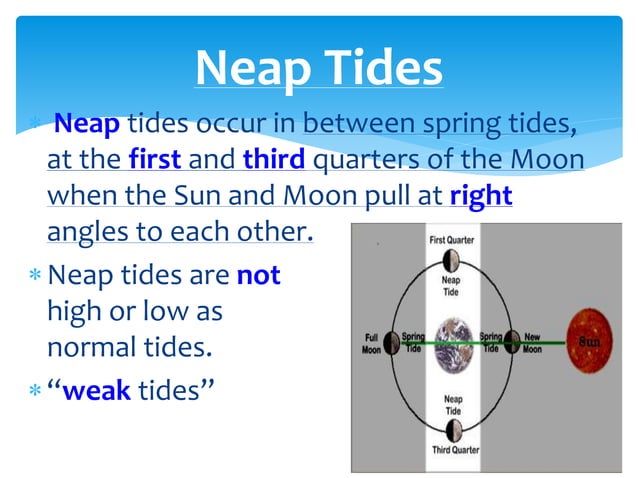 The Definition of High Tide and Low Tide | PPTX | Geography | Science