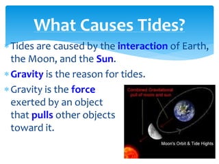 The Definition of High Tide and Low Tide | PPTX