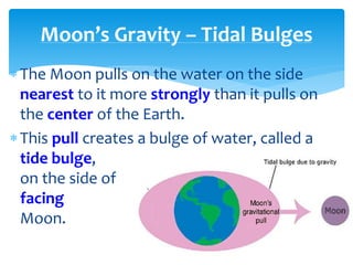 The Definition of High Tide and Low Tide | PPTX