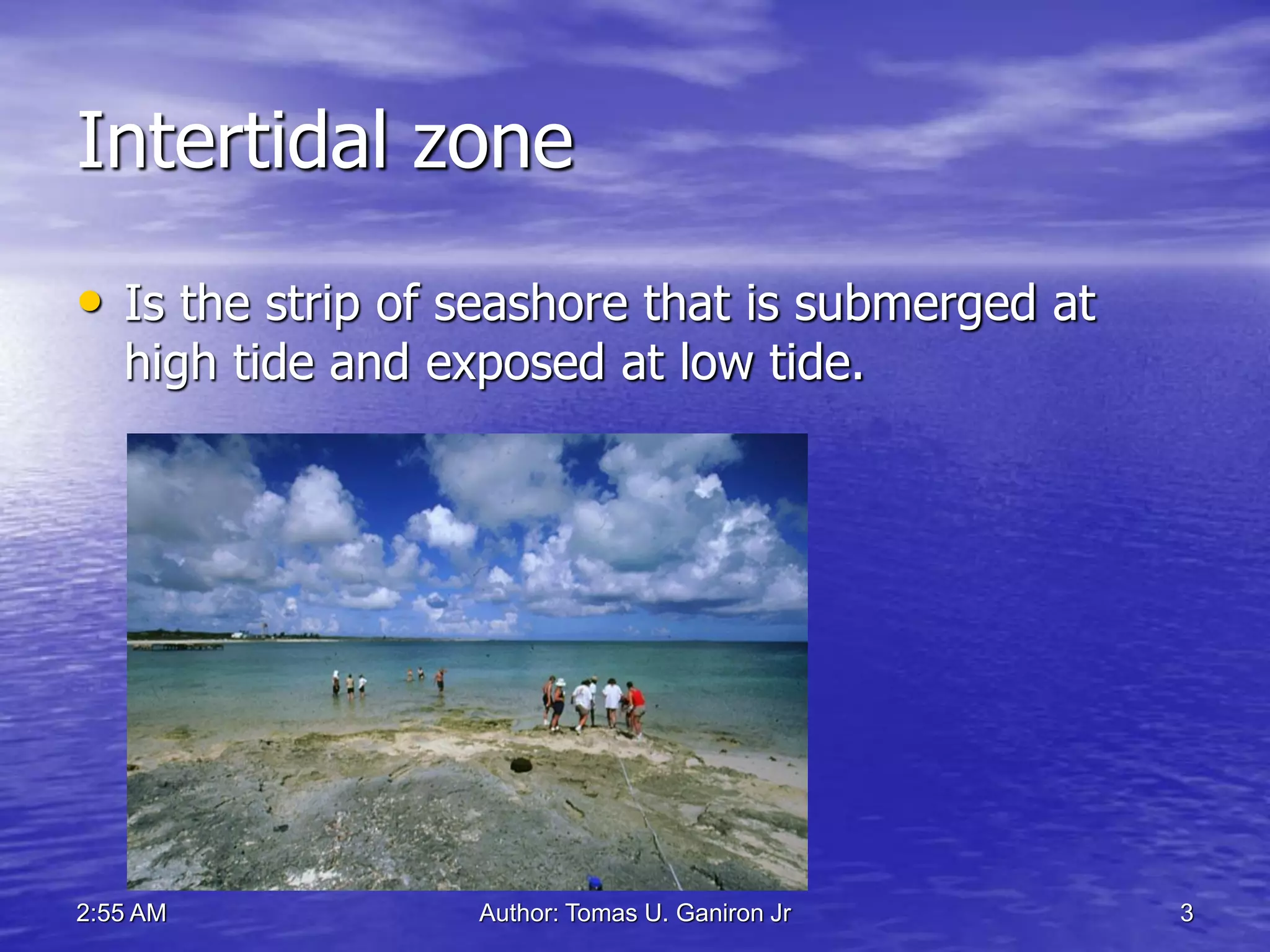Tides and Currents | PDF