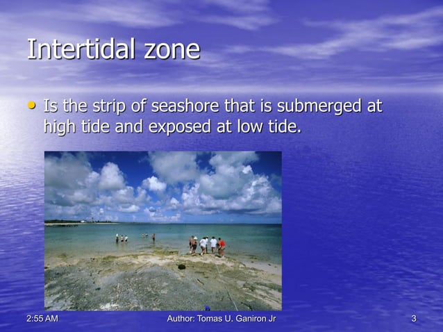 Tides and Currents | PDF | Geography | Science