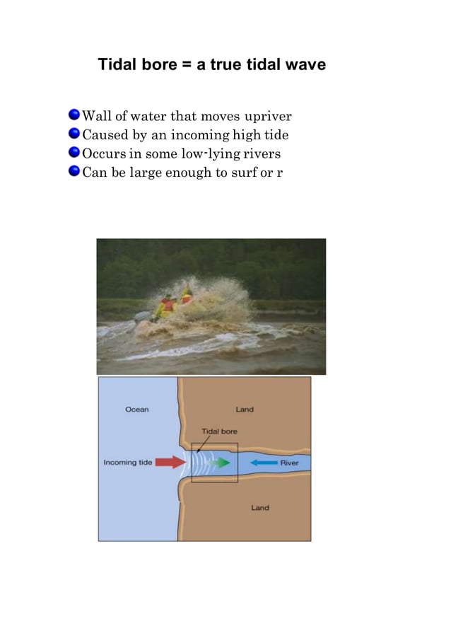Tides and generating forces | DOCX