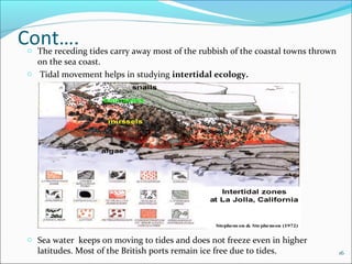 Tides and its significance | PPT