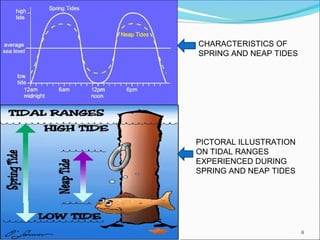 Tides and its significance | PPT
