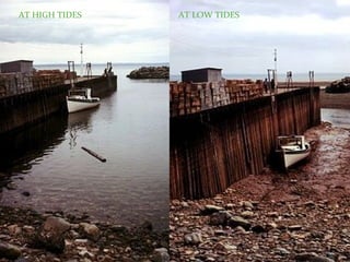 Tides and its significance | PPT