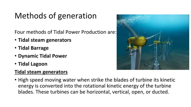 Tides and Tidal Energy.pptx