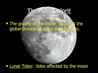 Tides (Coyle) | PPTX