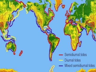 Tides (Coyle) | PPTX