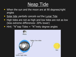 Tides (Coyle) | PPTX