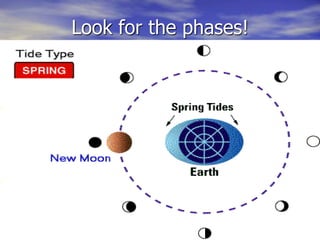 Tides (Coyle) | PPTX