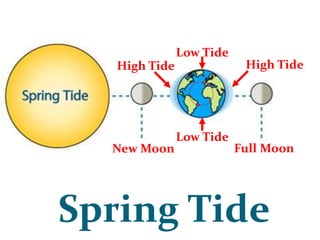 tides powerpoint.pptx
