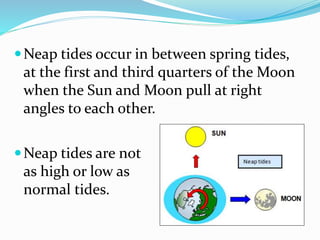 tides powerpoint.pptx