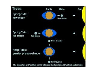 tides powerpoint.pptx