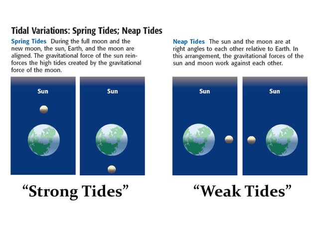tides powerpoint.pptx | Geography | Science