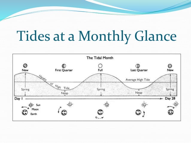 tides powerpoint.pptx | Geography | Science