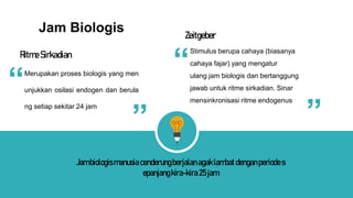 TIDUR DAN RITME BIOLOGIS PADA MANUSIA.pptx
