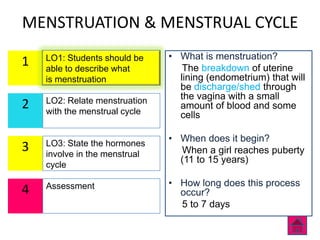 menstruation and menstrual cycle | PPTX