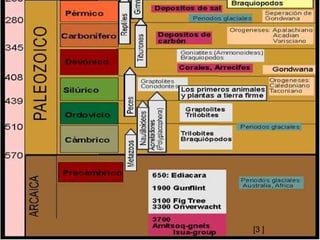 Tiempo en geologia y datacion relativa absoluta, | PPT