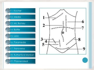 Tiempos quirúrgicos. Enfermería | PPTX